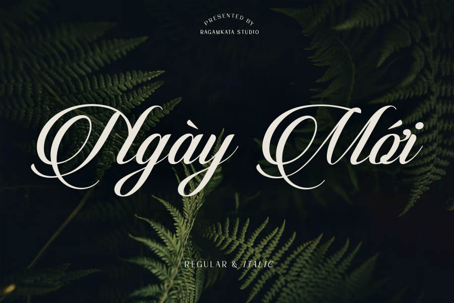 Tải Miễn Phí - Font chữ SVN Candlescript Pro Việt hóa viết tay mềm mại ...